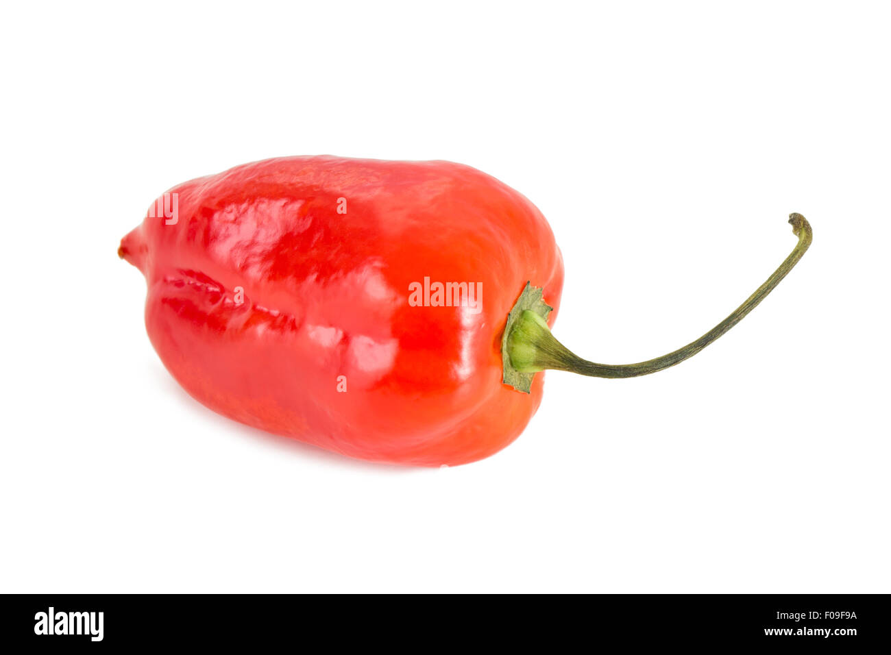 Single Red Chilli High Resolution Stock Photography and Images - Alamy
