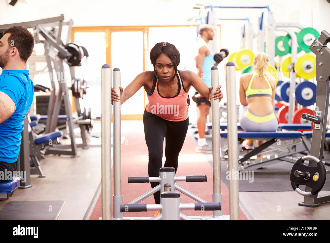Young woman working out using equipment at a gym Stock Photo - Alamy