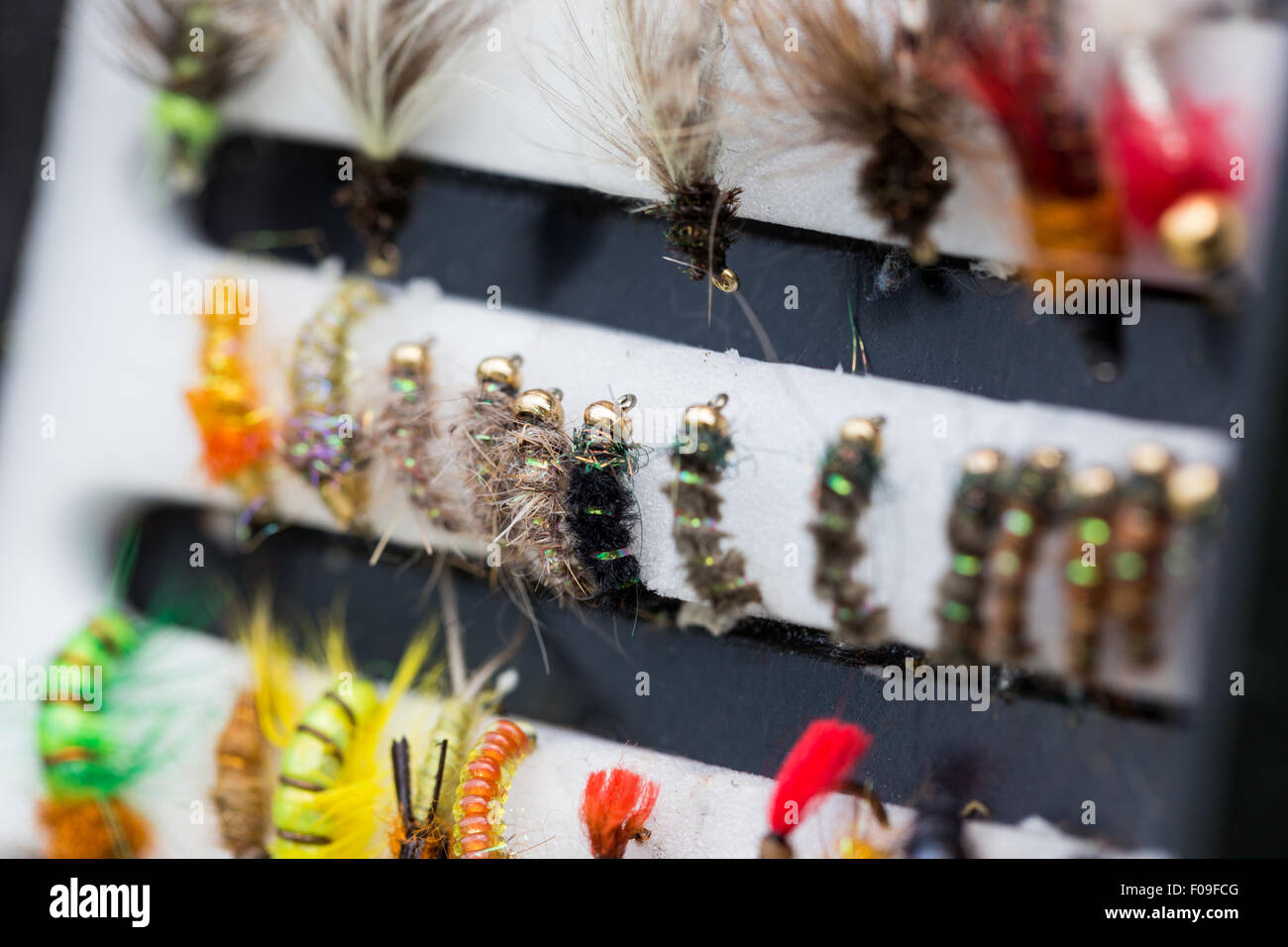 different fly fishing bugs in box on sunlight with selective focus ...