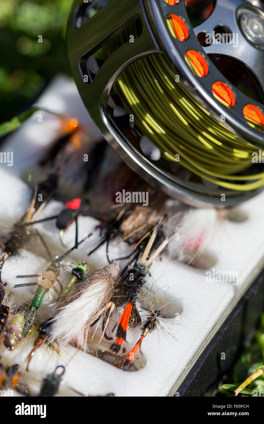fly fishing bugs and road with real on grass in sunlight with selective ...