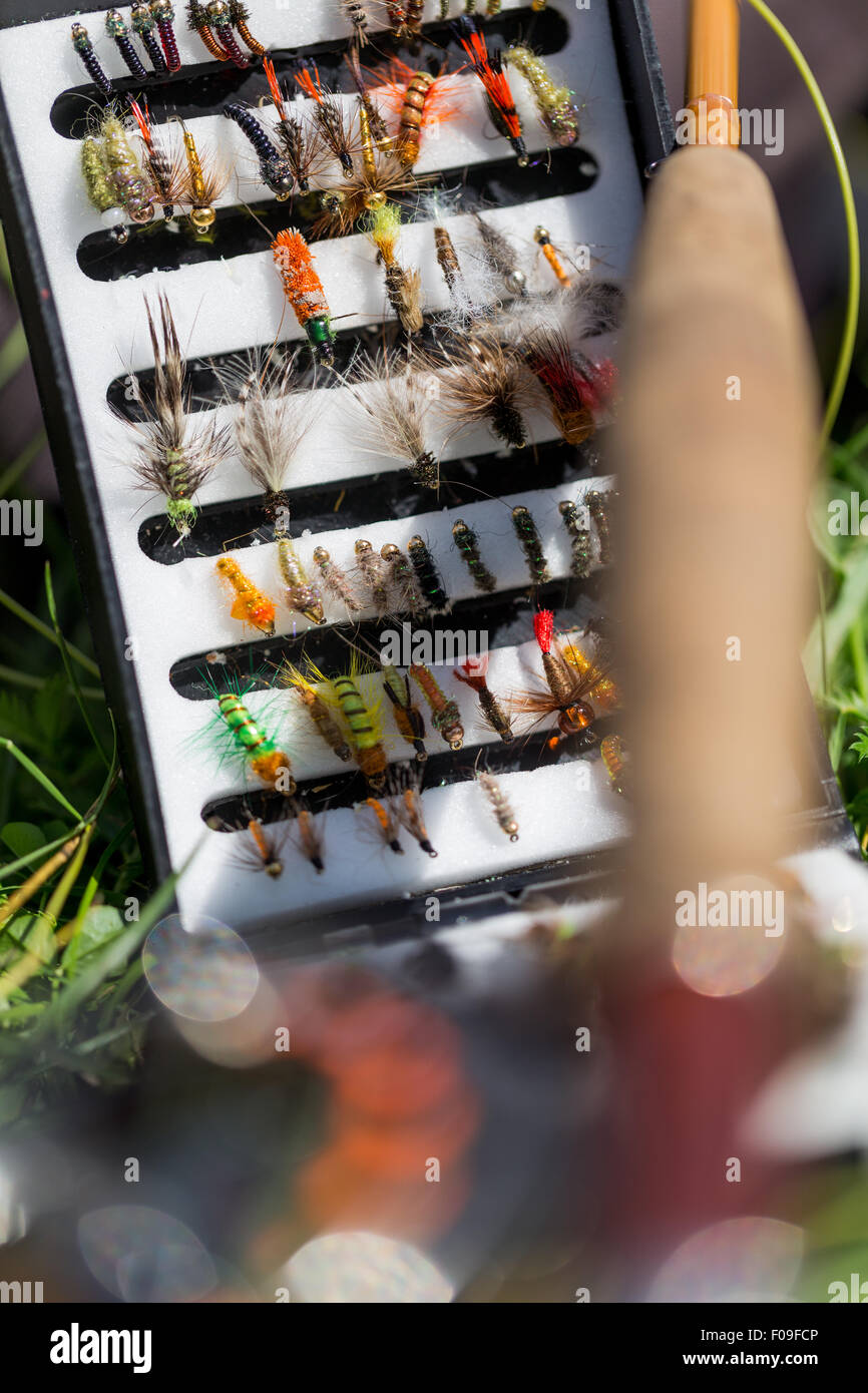 fly fishing bugs and road with real on grass in sunlight with selective ...
