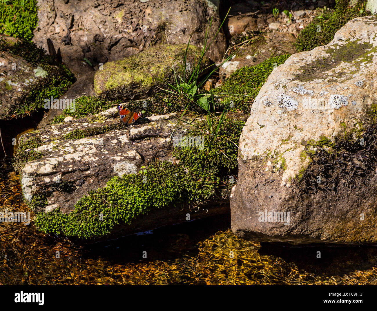 Rock cluster hi-res stock photography and images - Alamy