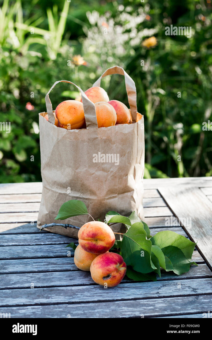 Paper bag garden hi-res stock photography and images - Alamy