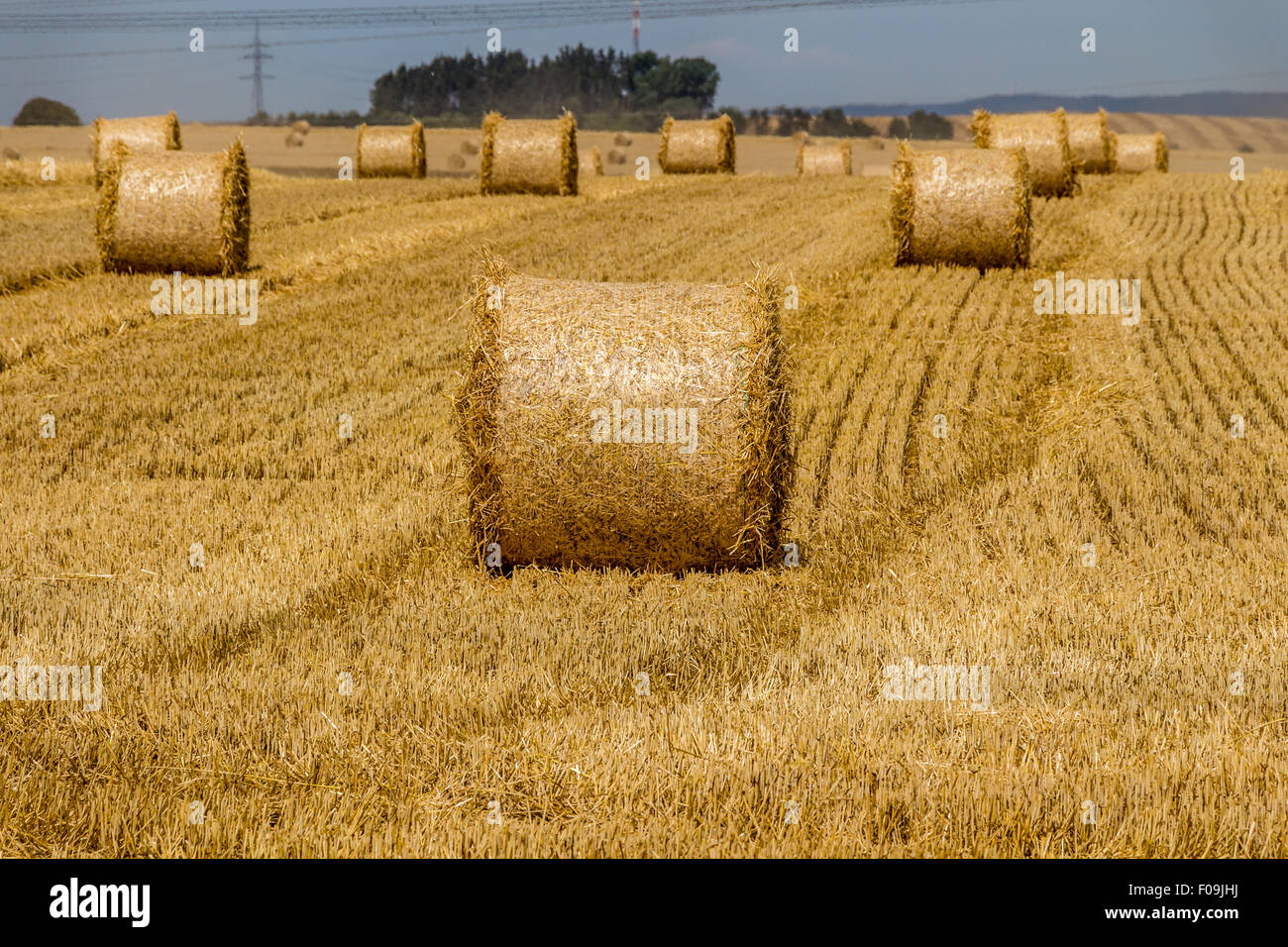 Straw agriculture hi-res stock photography and images - Alamy