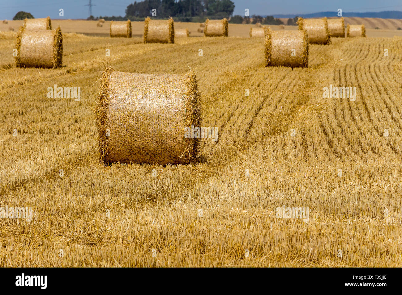 Bales in the fields hi-res stock photography and images - Alamy
