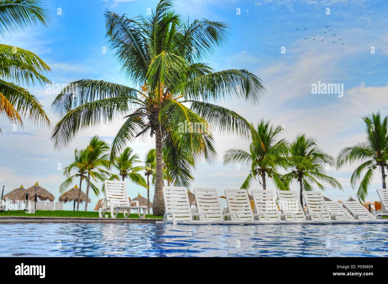 Beautiful view of a resort from the swimming pool Stock Photo - Alamy
