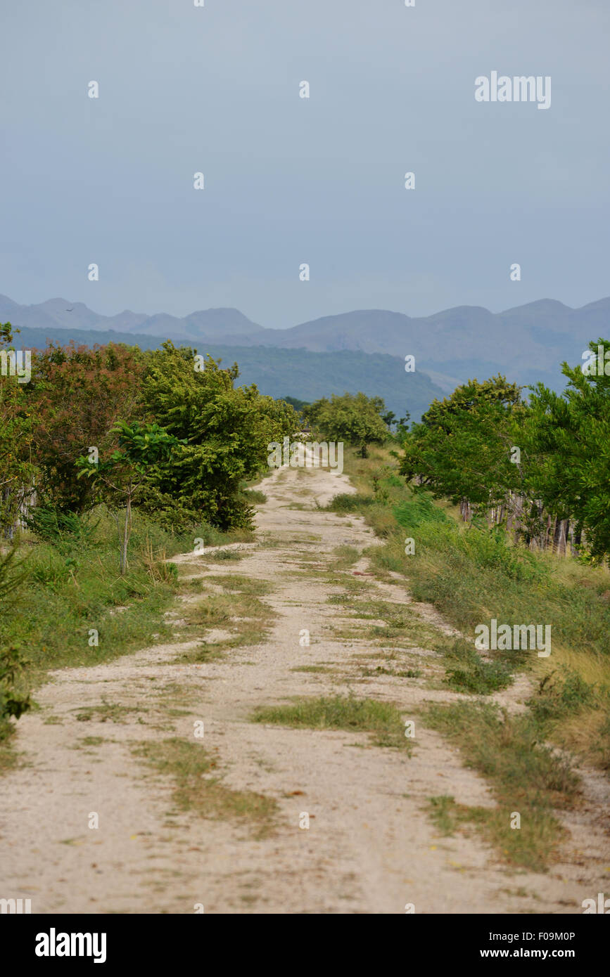 Rural road leading to high peaks in the background in the countryside ...