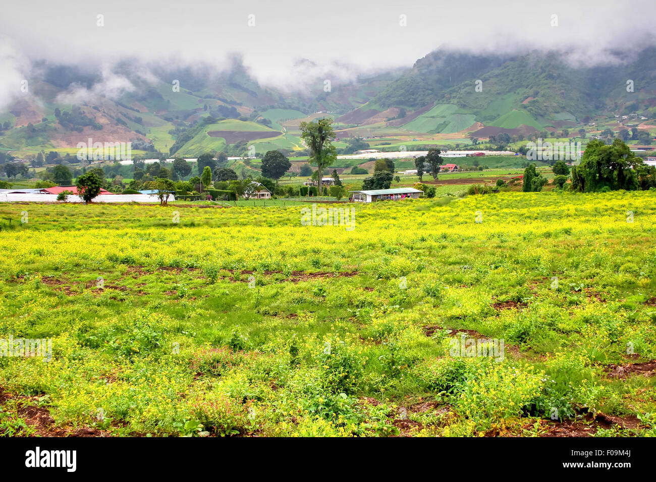 Cerropunta hi-res stock photography and images - Alamy