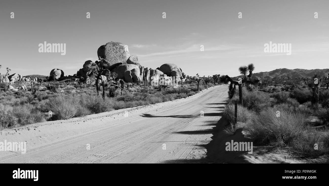 Joshua Tree Park Off Road Trail Stock Photo - Alamy