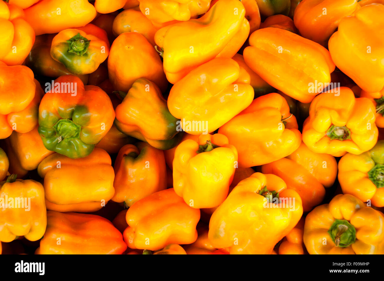 Peppers, Purdum's Fresh Produce Stand, Payette County, Idaho Stock ...
