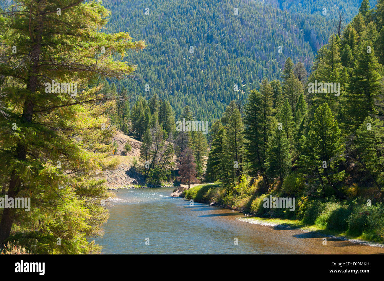 Salmon River, Salmon River Scenic Byway, Sawtooth National Recreation ...