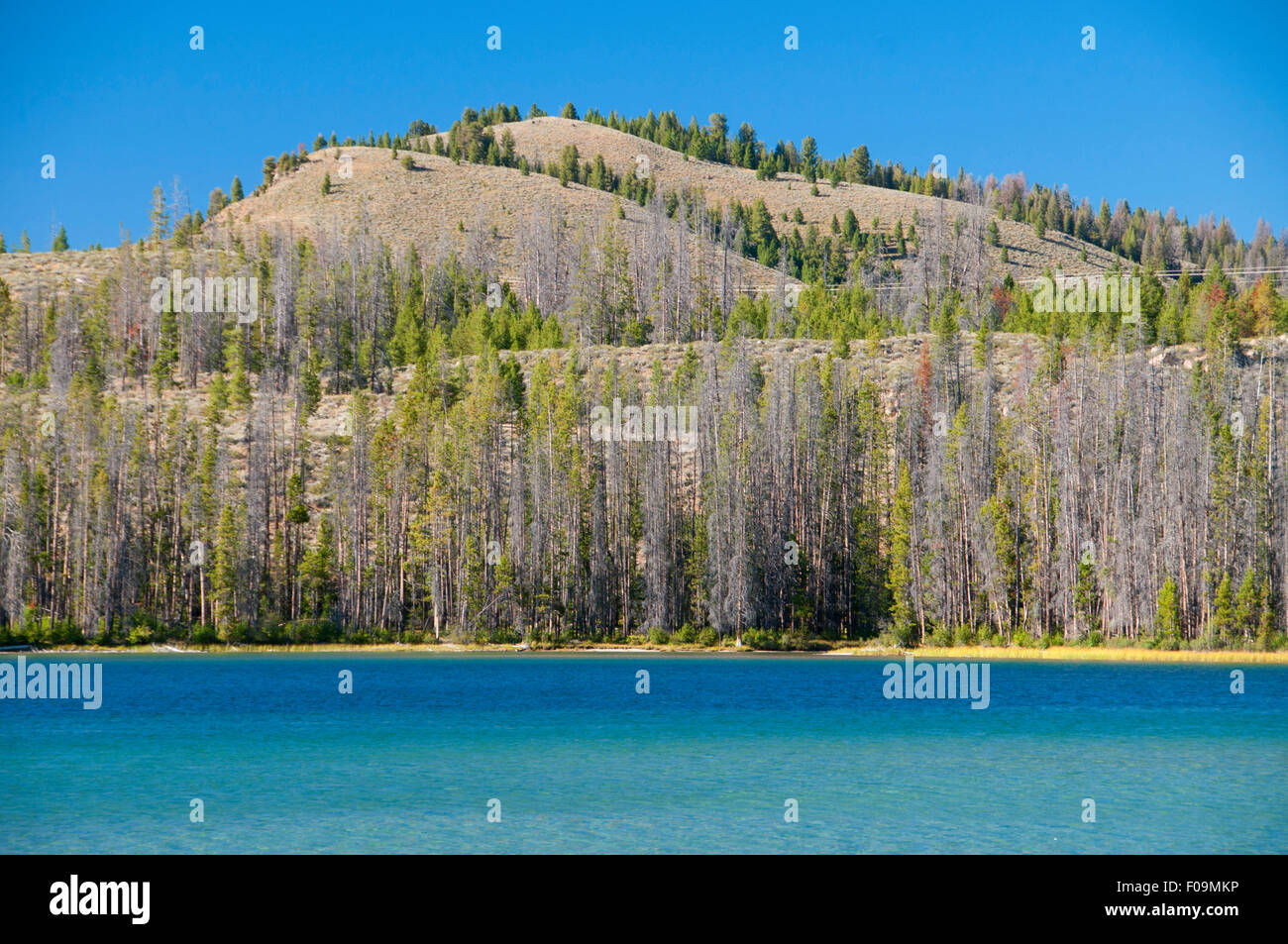 Little Redfish Lake, Sawtooth National Recreation Area, Idaho Stock ...