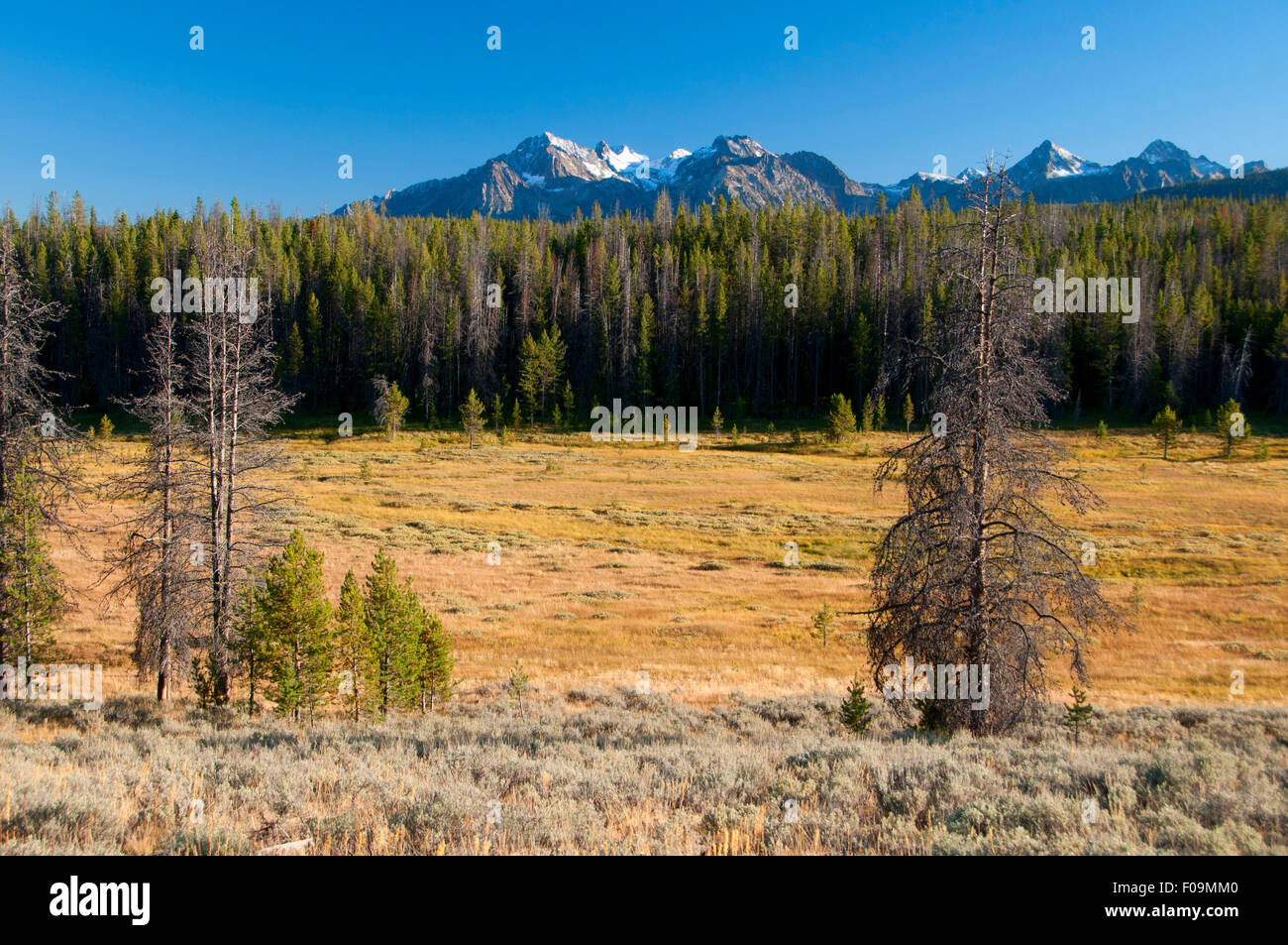 Sawtooth National Park High Resolution Stock Photography and Images - Alamy