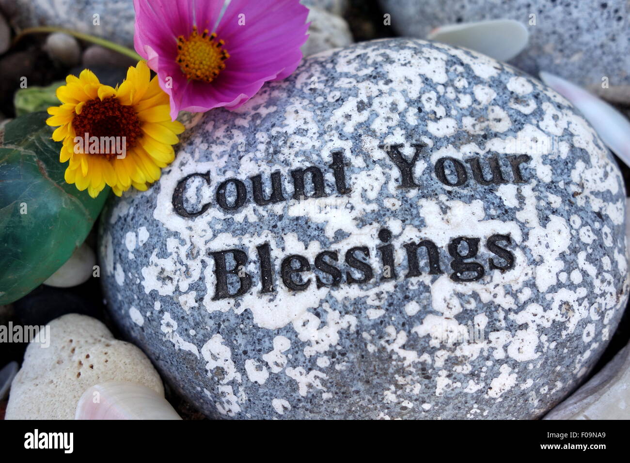 Inspirational quote on garden rock Stock Photo - Alamy