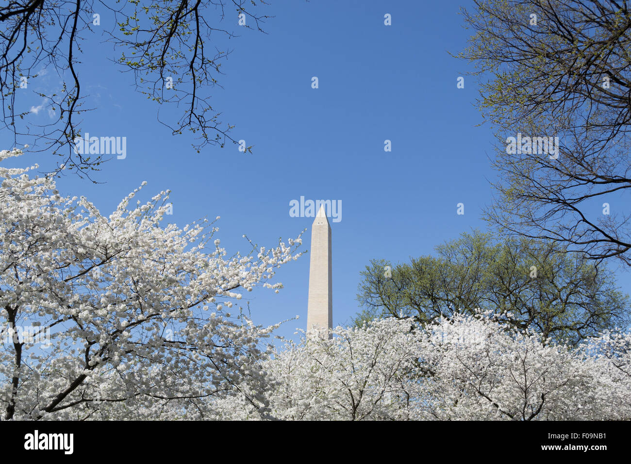 The Washington Memorial was built to commemorate George Washington (The ...