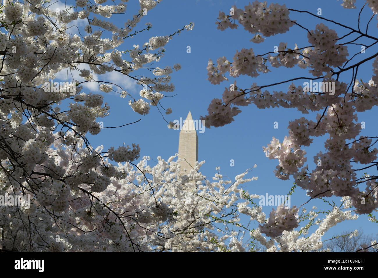 The Washington Memorial was built to commemorate George Washington (The ...