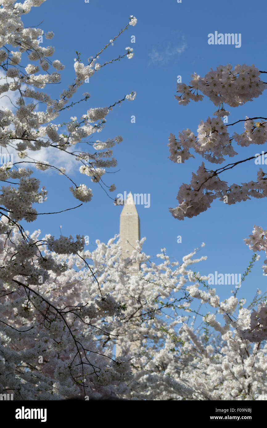 The Washington Memorial was built to commemorate George Washington (The ...