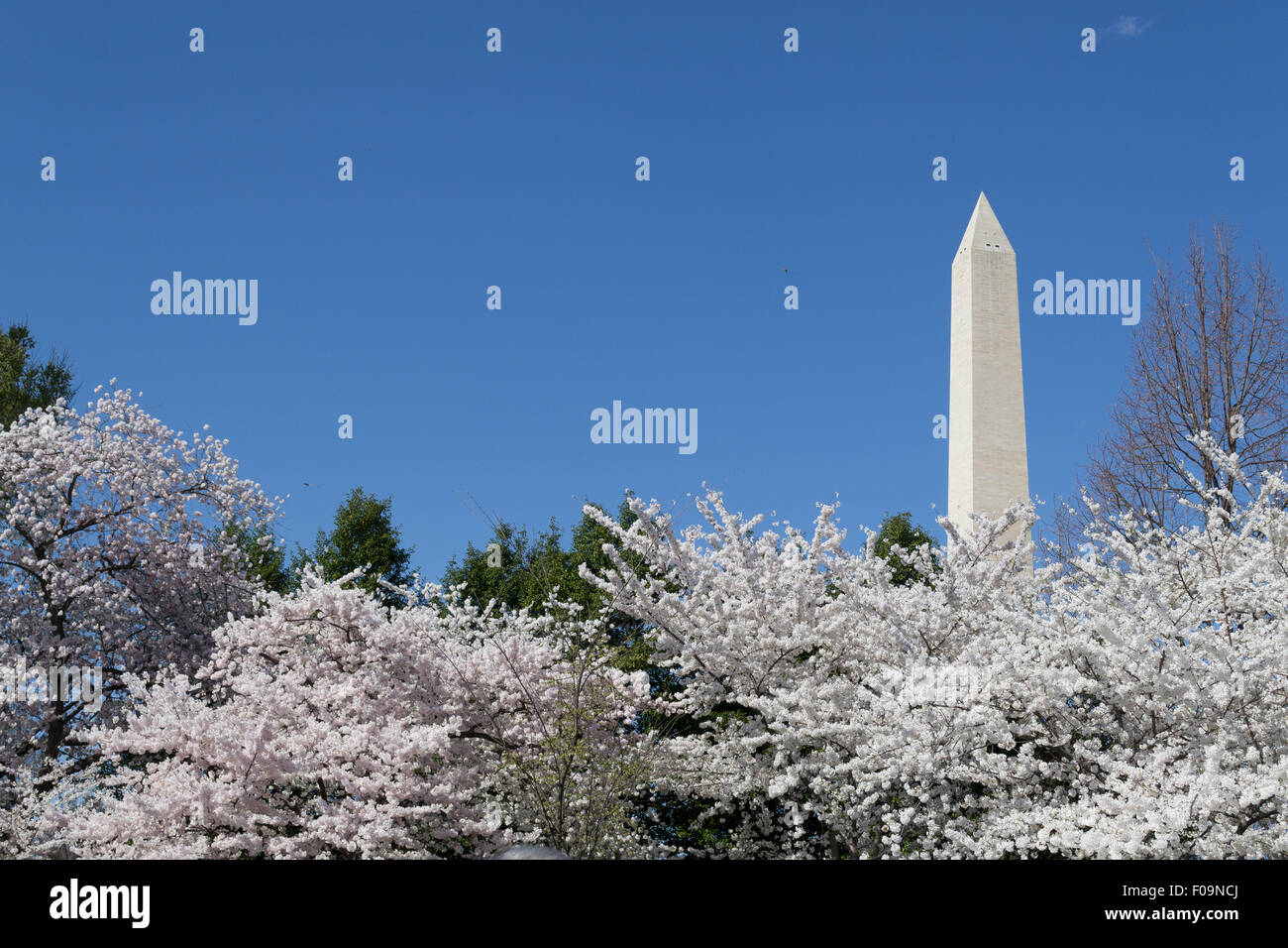 The Washington Memorial was built to commemorate George Washington (The ...