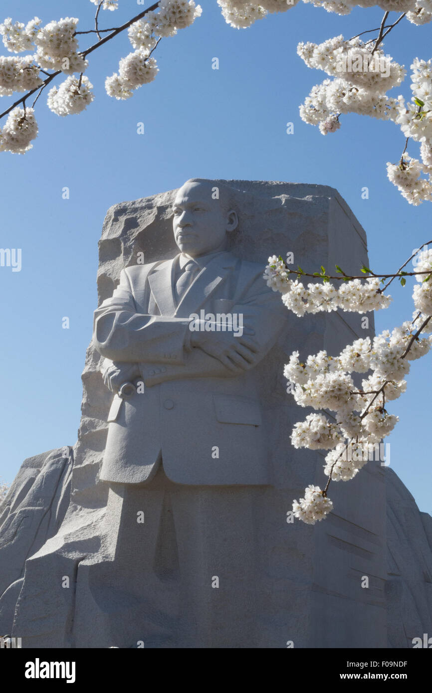 Mlk memorial and cherry blossom hi-res stock photography and images - Alamy