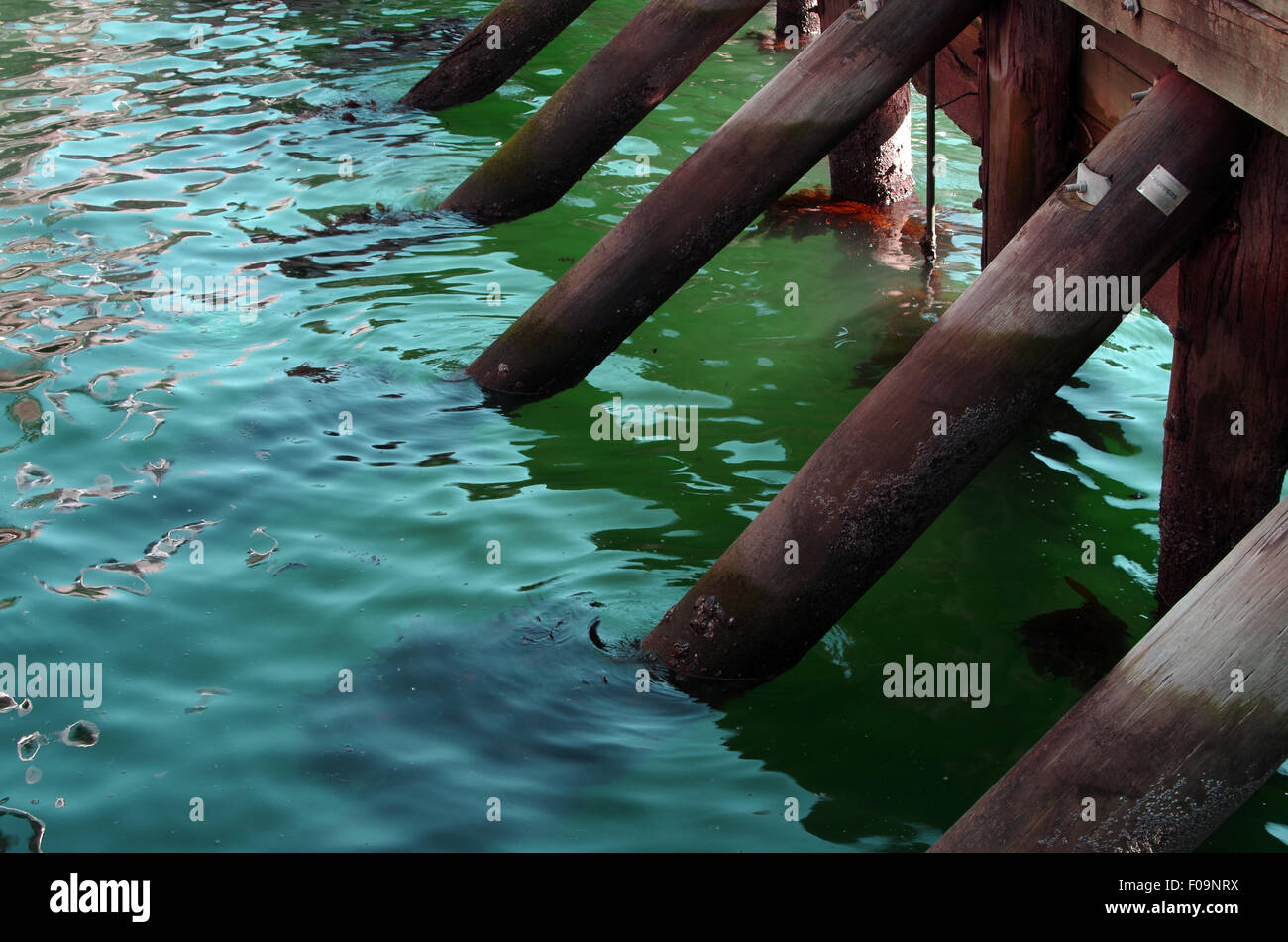 Circular Quay Wharf Stock Photo - Alamy