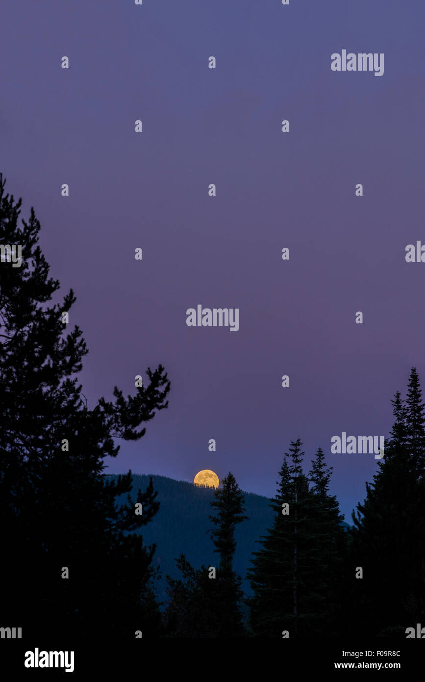 Moon rising over a ridge in Oregon's Wallowa Mountains Stock Photo - Alamy