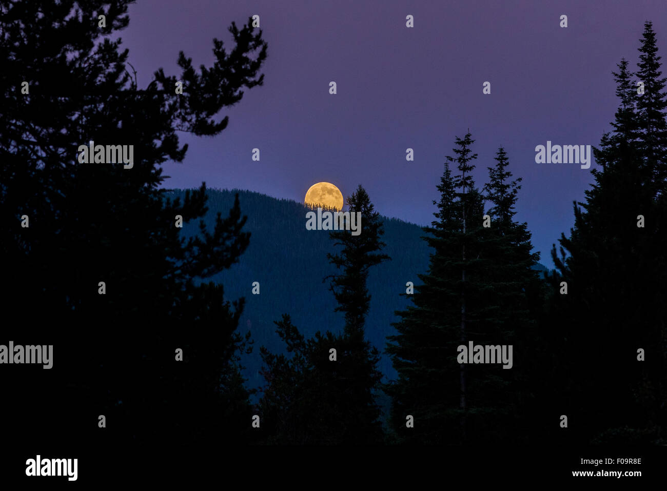 Moon rising over a ridge in Oregon's Wallowa Mountains Stock Photo - Alamy