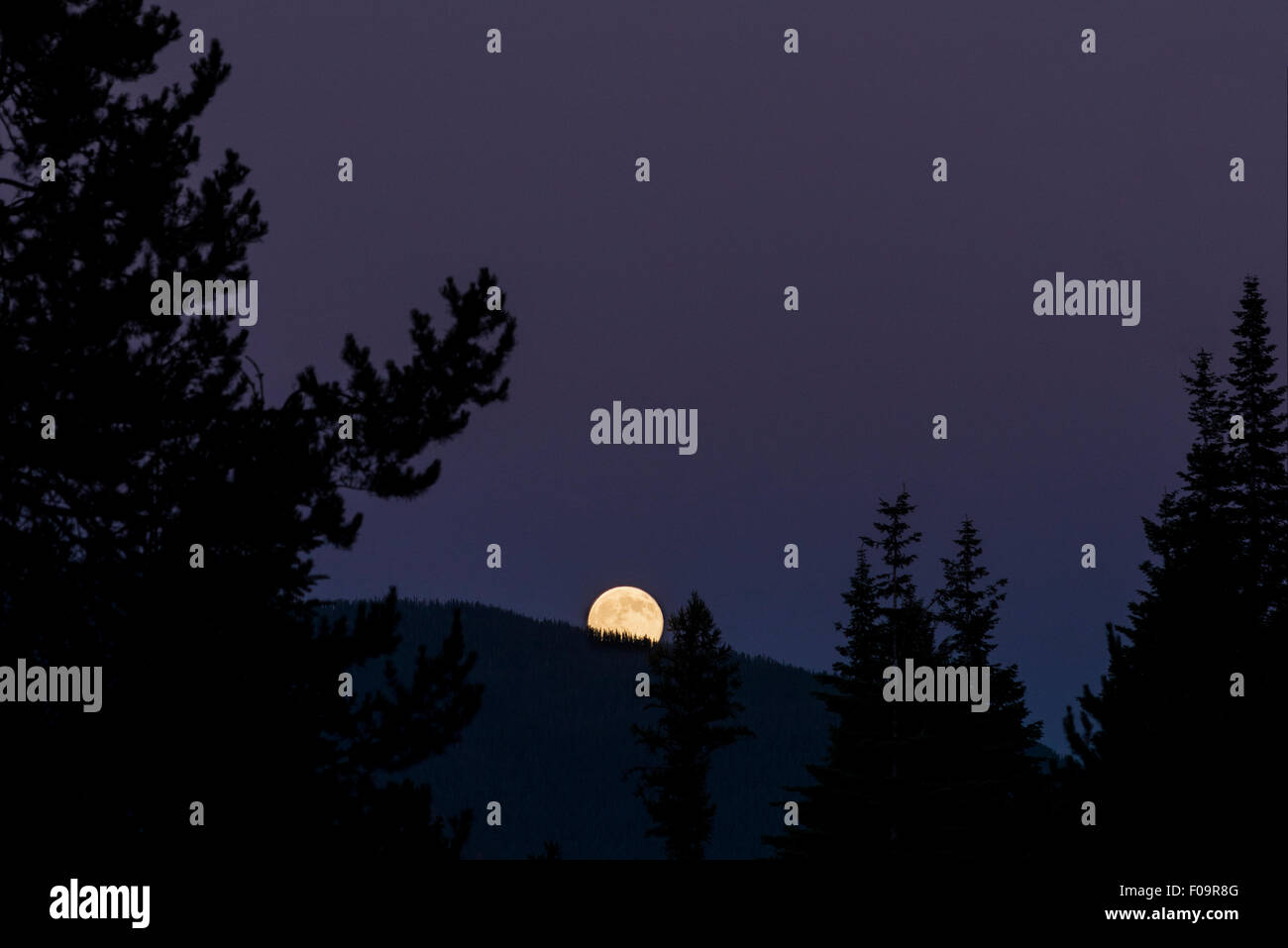 Moon rising over a ridge in Oregon's Wallowa Mountains Stock Photo - Alamy