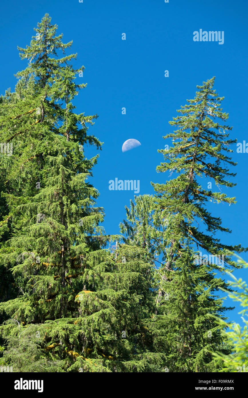 Willamette national forest cascade mountains hi-res stock photography ...