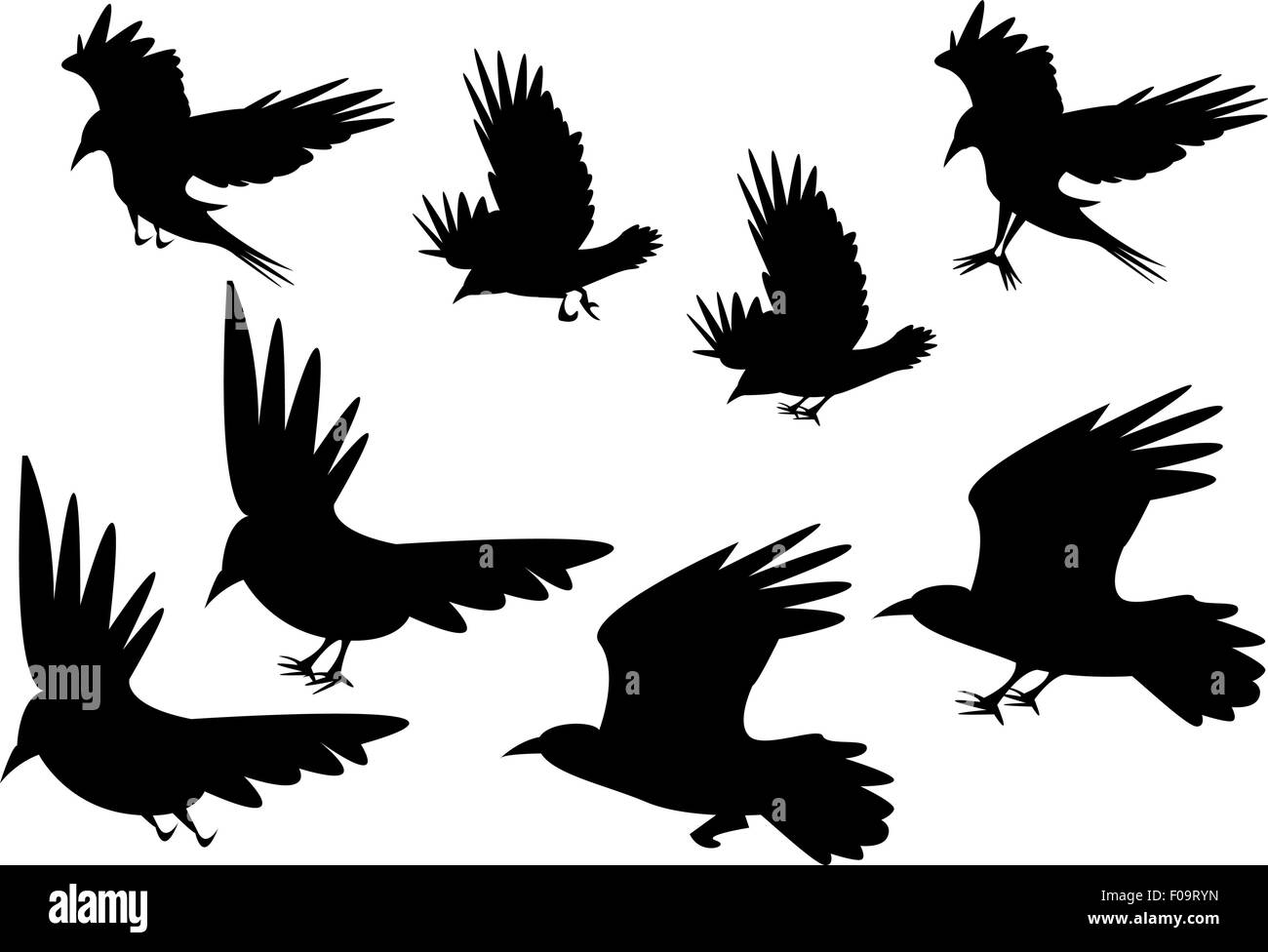 Raven Flying Silhouette