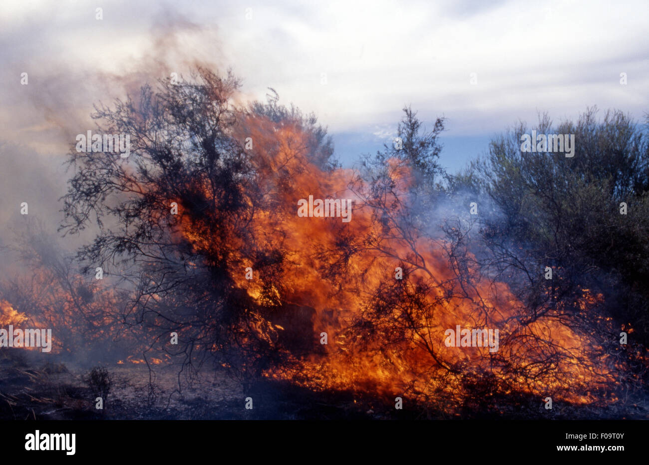 RAGING BUSH FIRE, NORTHERN TERRITORY, AUSTRALIA Stock Photo - Alamy