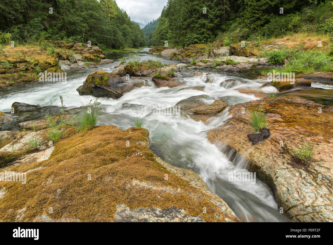 North Fork of the Middle Fork of the Willamette River flowing through ...