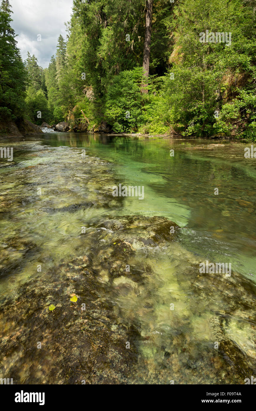Salmon Creek flowing over bedrock ledges, Oregon Stock Photo - Alamy