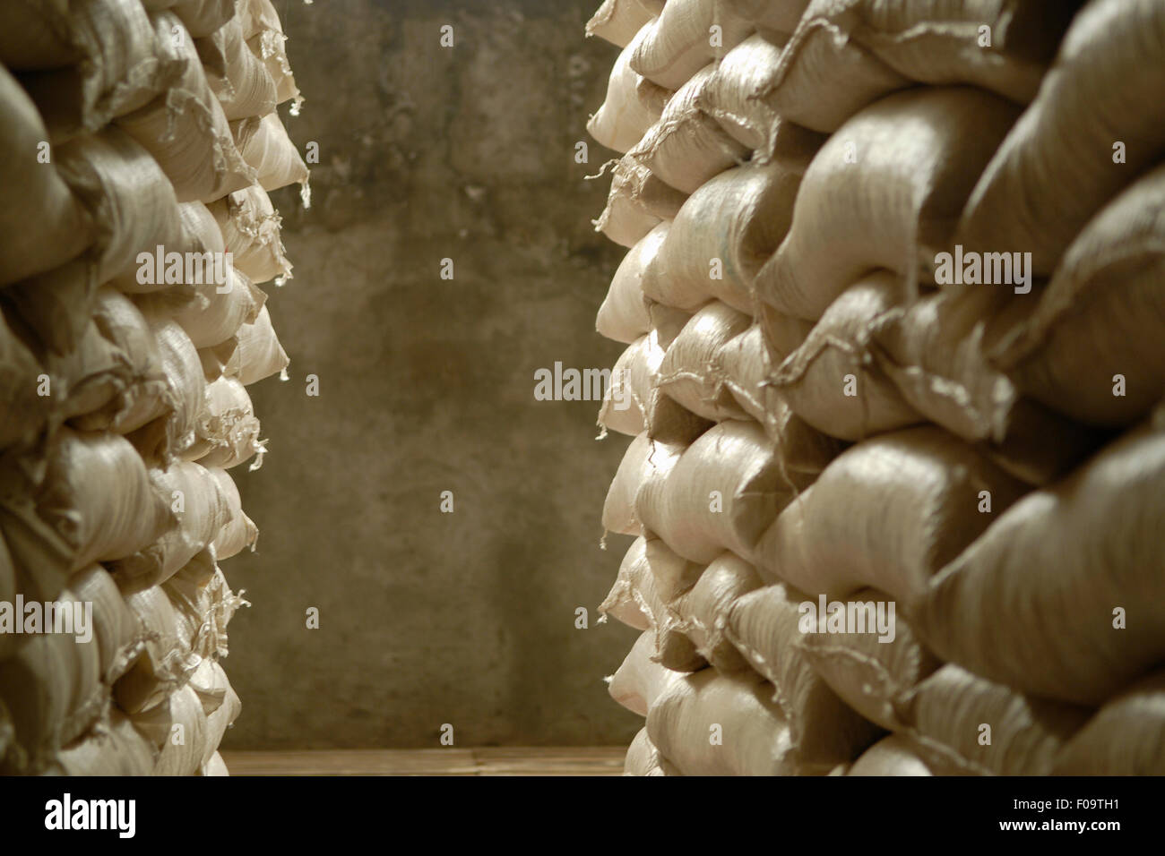Piles of large sacks containing maize in a storage warehouse of World ...