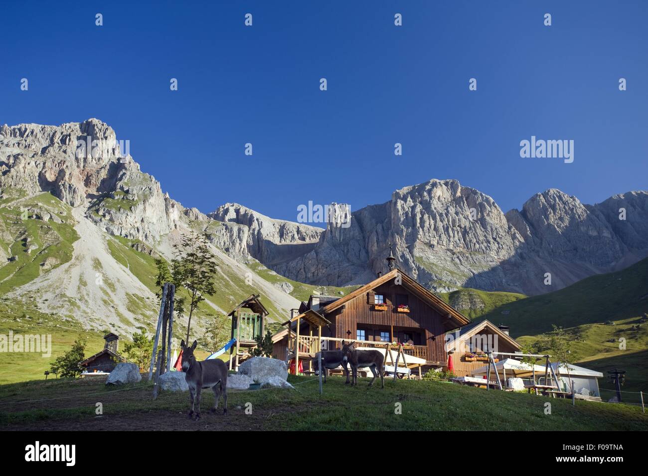 View of Hut village Rifugio Fuciade, donkeys in pasture and mountains ...