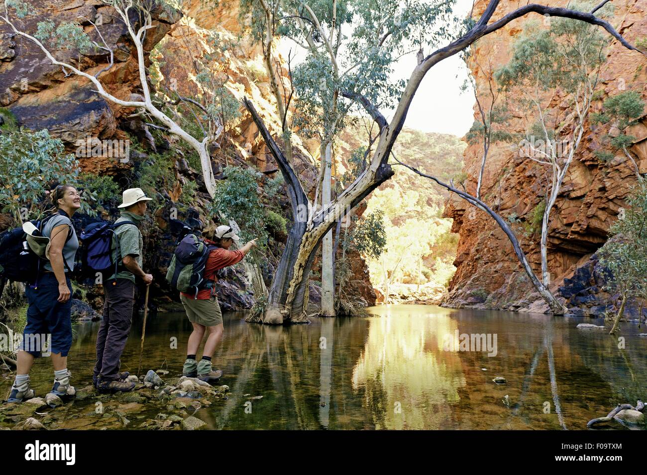 Hikers in Outback Serpentine Gorge on Larapinta Trail, Australia Stock ...
