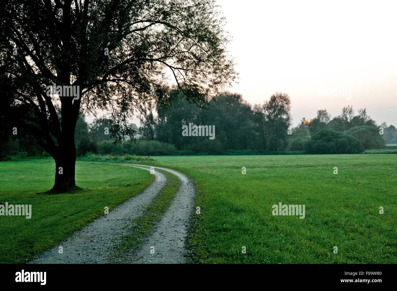 View of pathway with trees and grass around Stock Photo - Alamy