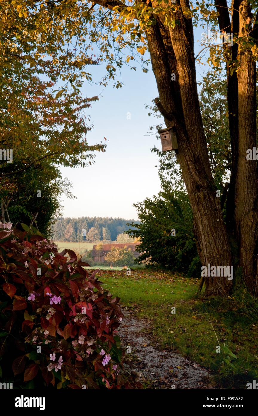 Green bushes and trees hi-res stock photography and images - Alamy
