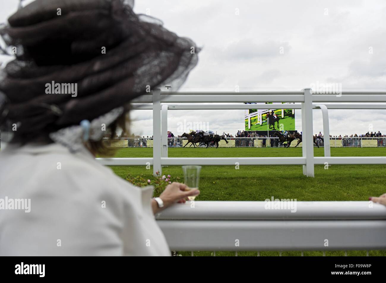 View of equestrian, Ascot Racecourse, Berkshire, London, UK Stock Photo ...