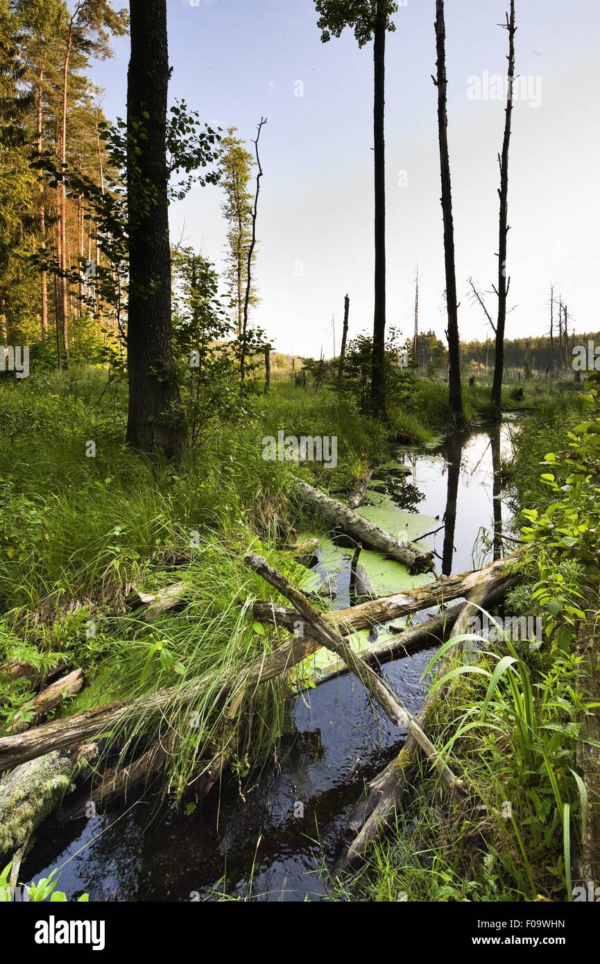 Warmia masuria hi-res stock photography and images - Alamy