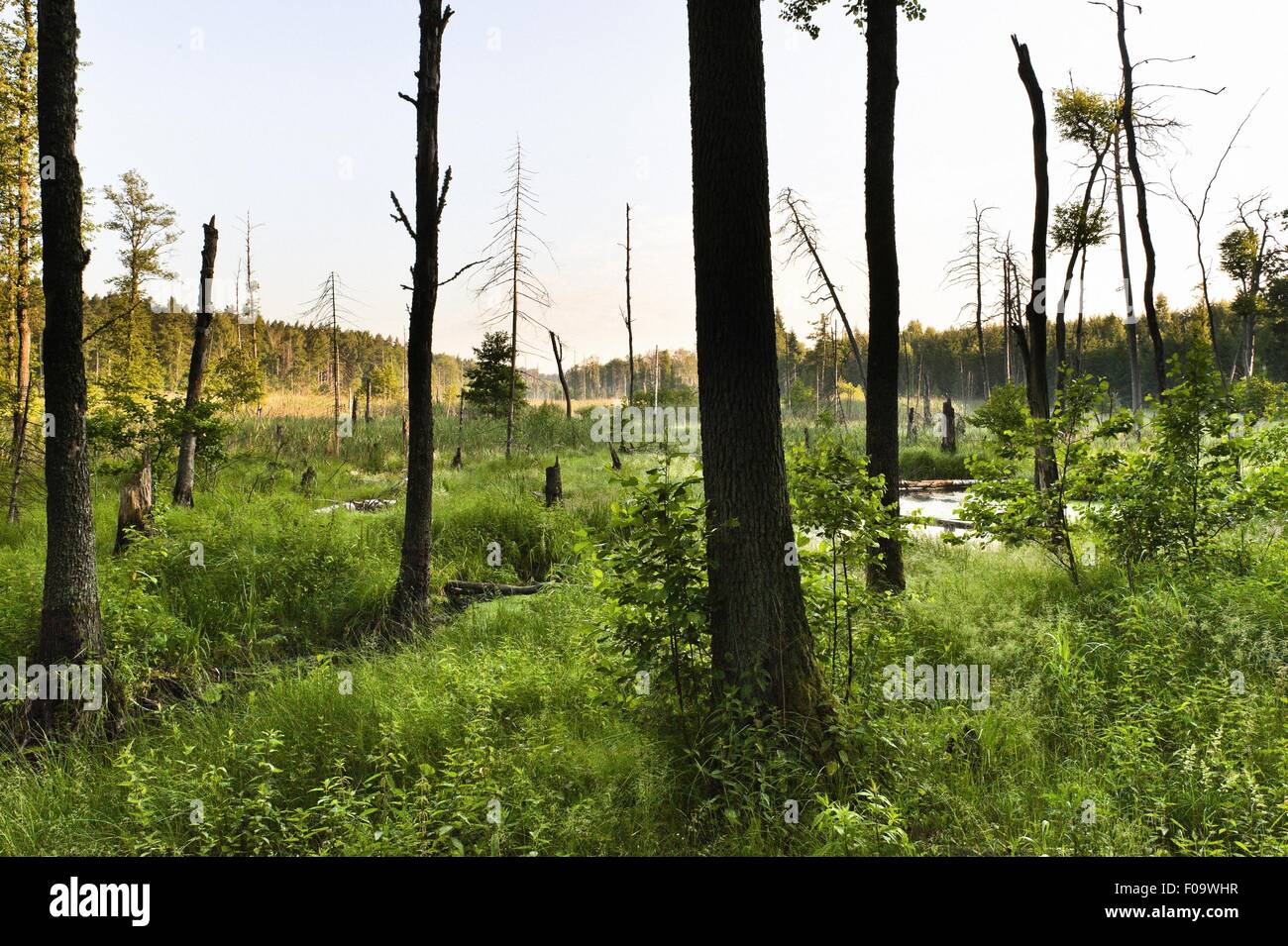 Warmia and masuria hi-res stock photography and images - Alamy