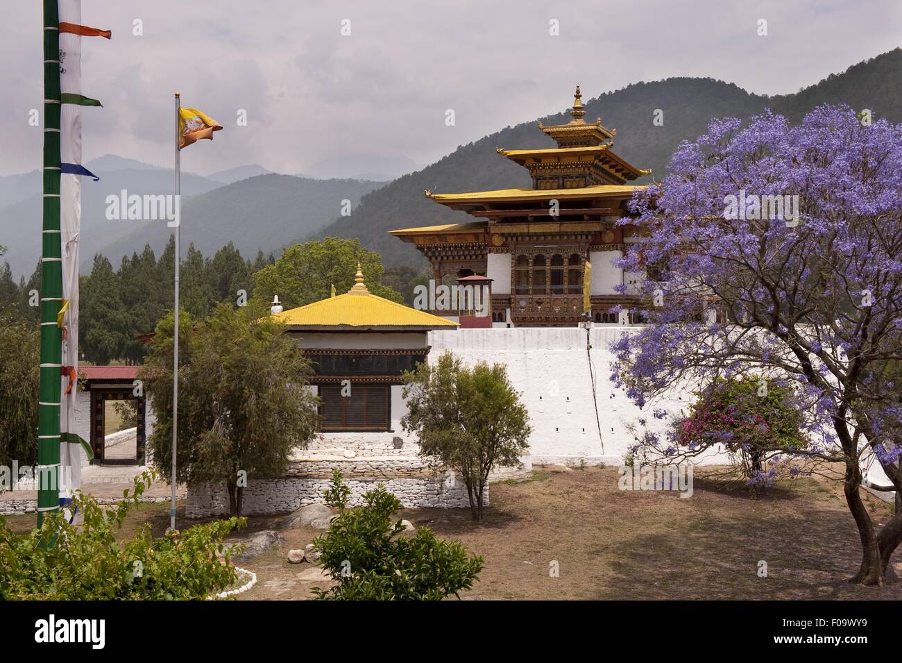 Punakha dzong hi-res stock photography and images - Alamy