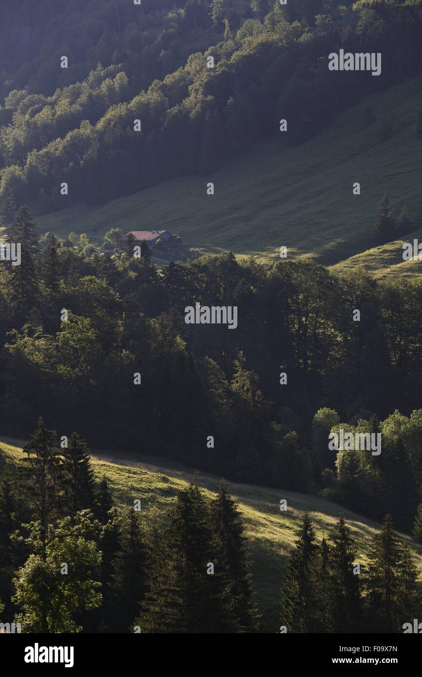 View of mountain and green pastures at Oberallgaeu, Bavaria, Germany ...