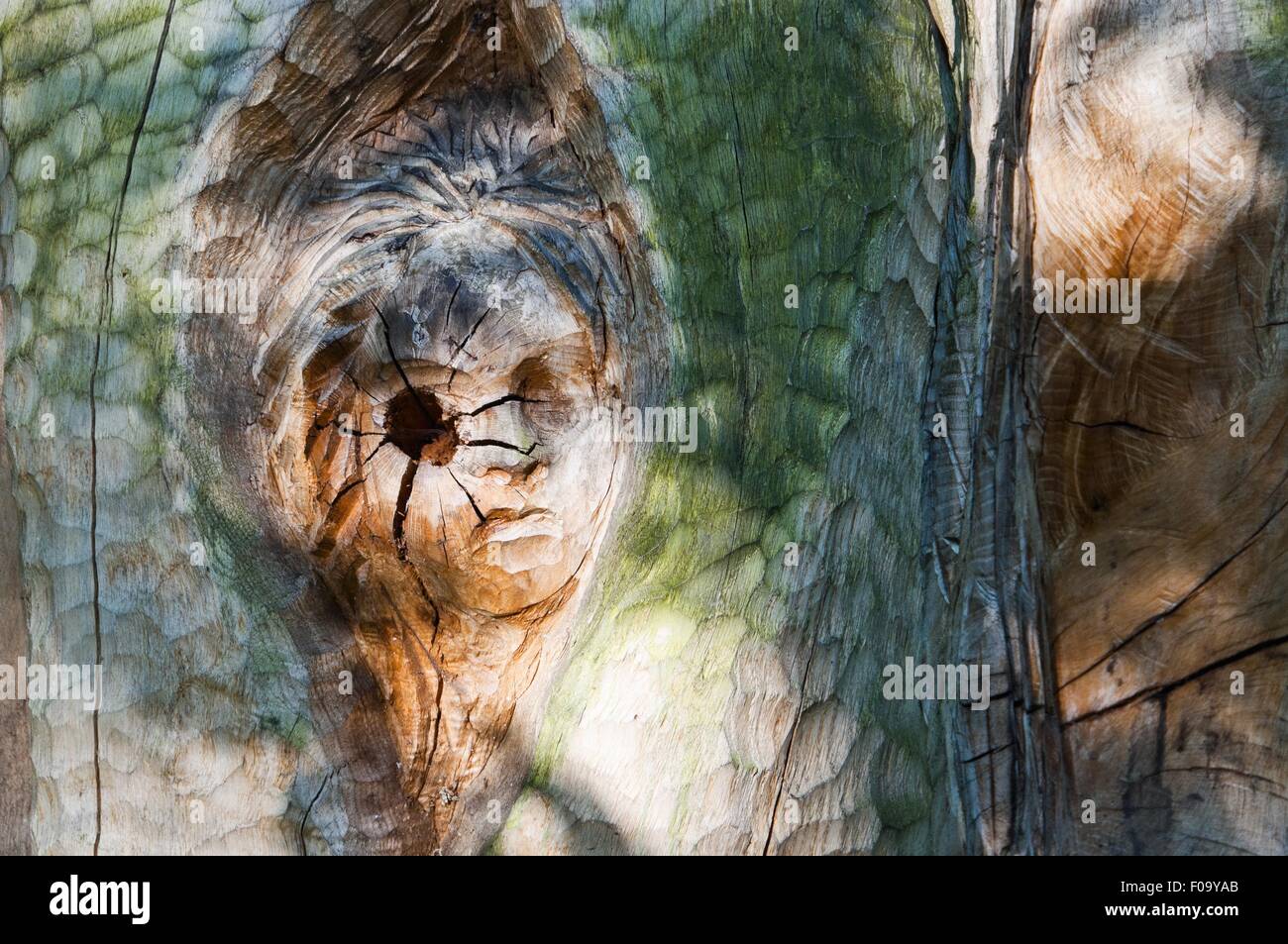 Close-up of wooden sculpture in Galindia Mazurski Eden, Warmia Masuria ...
