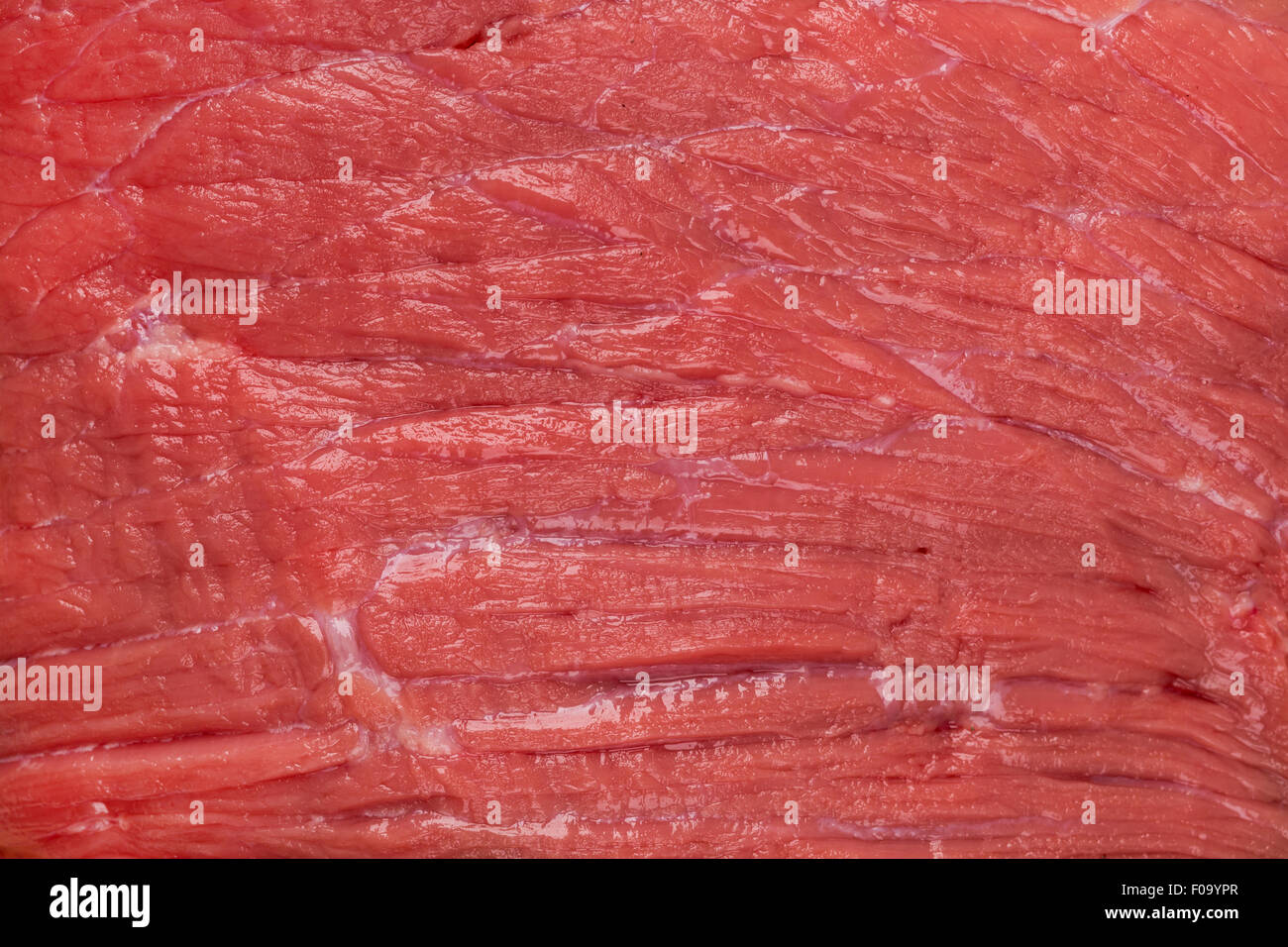Muscle Fiber Texture