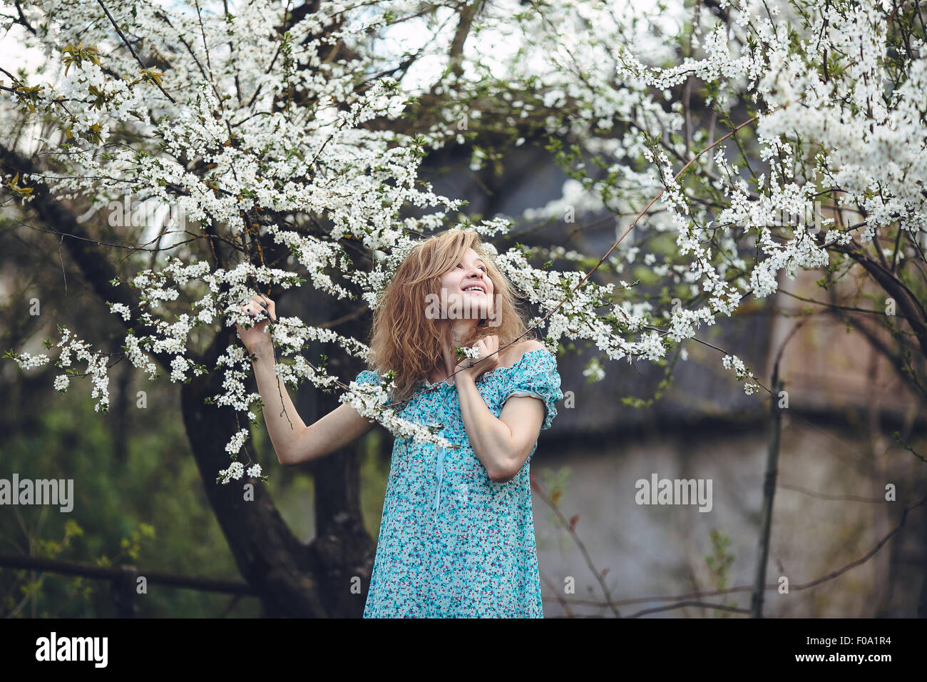 Portrait of a beautiful girl flowering trees Stock Photo - Alamy