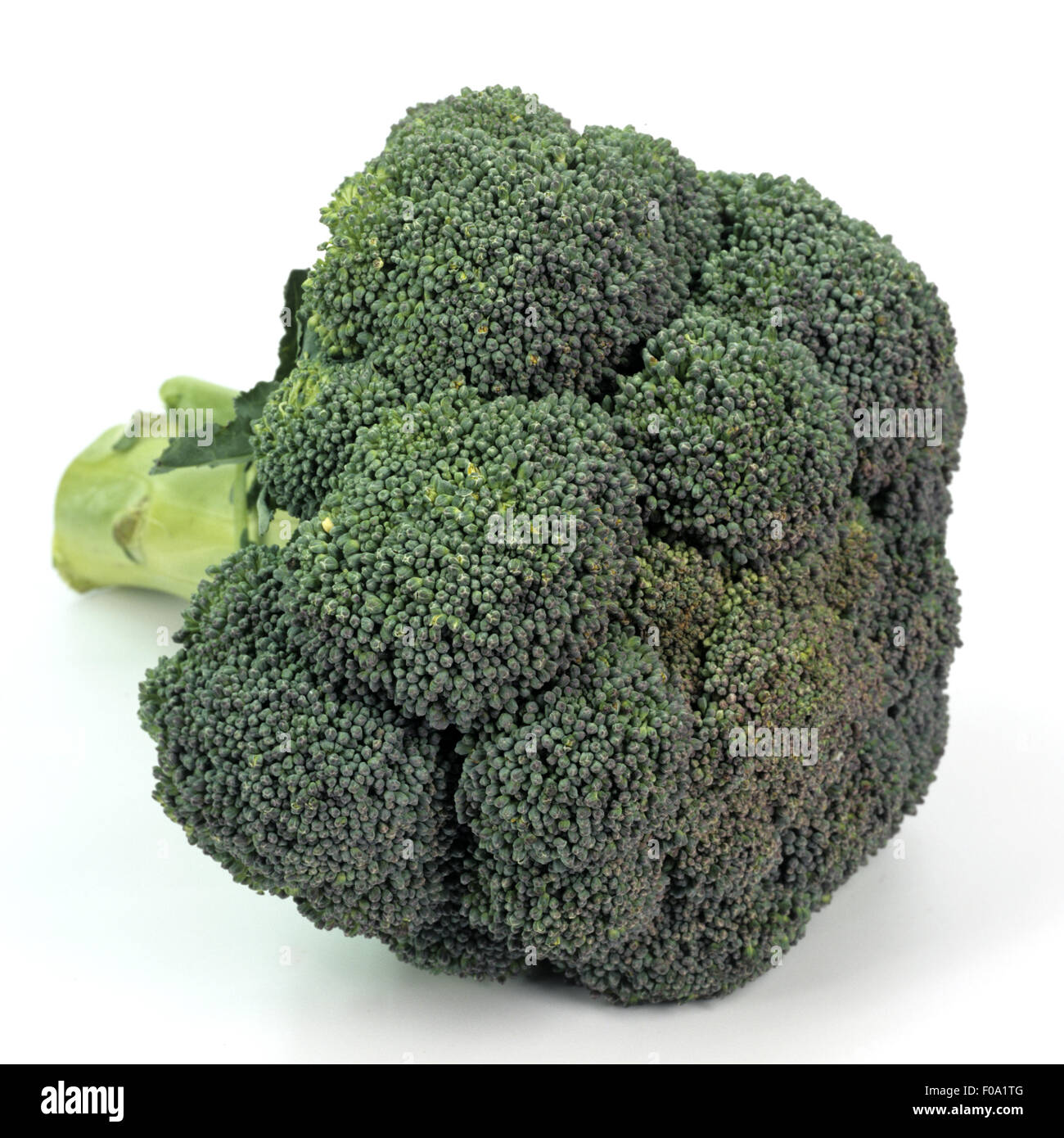Kohlsorten High Resolution Stock Photography and Images - Alamy