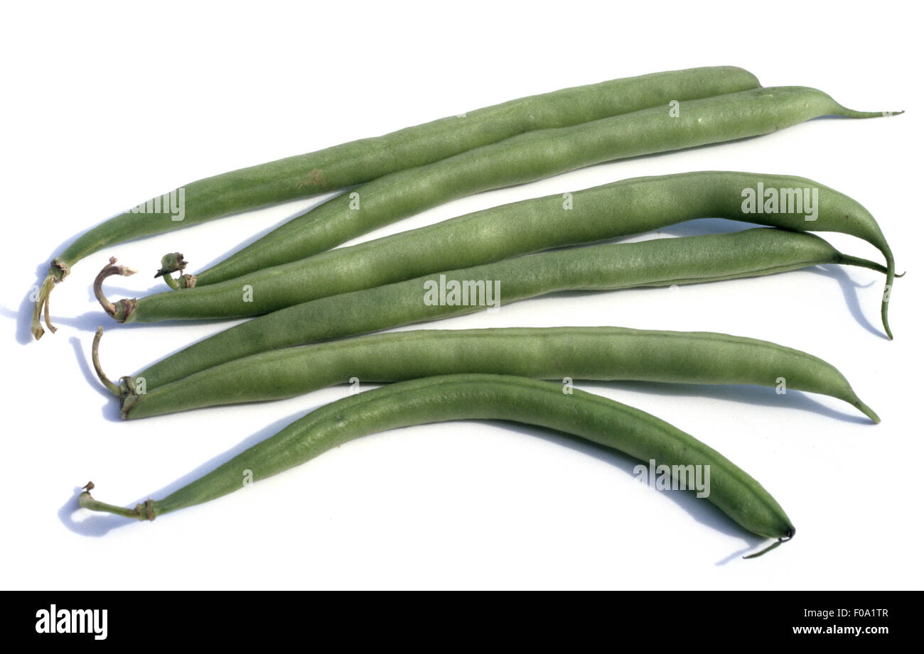 Buschbohnen hi-res stock photography and images - Alamy