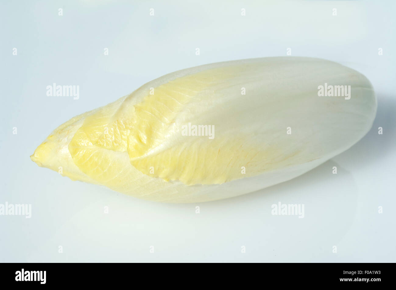 Chicoree hi-res stock photography and images - Alamy