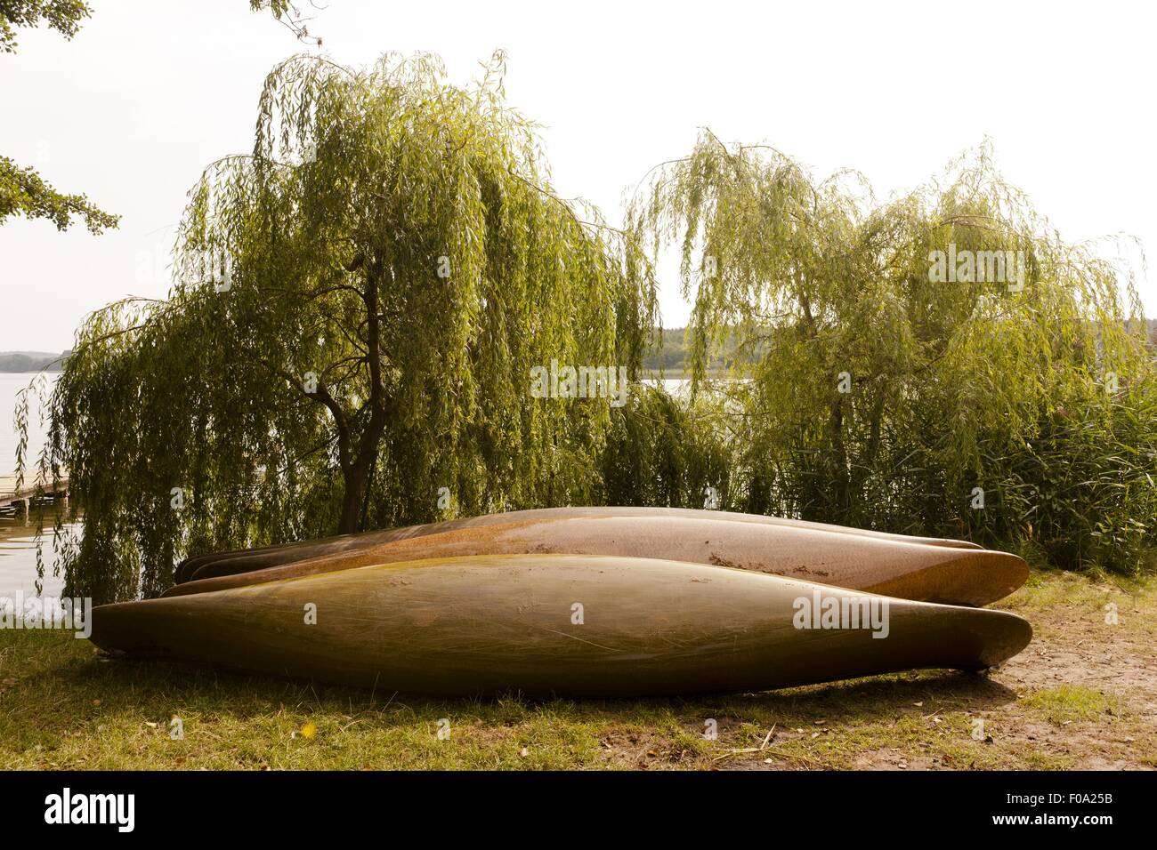 Flipped canoes by the lake with plants around Stock Photo - Alamy