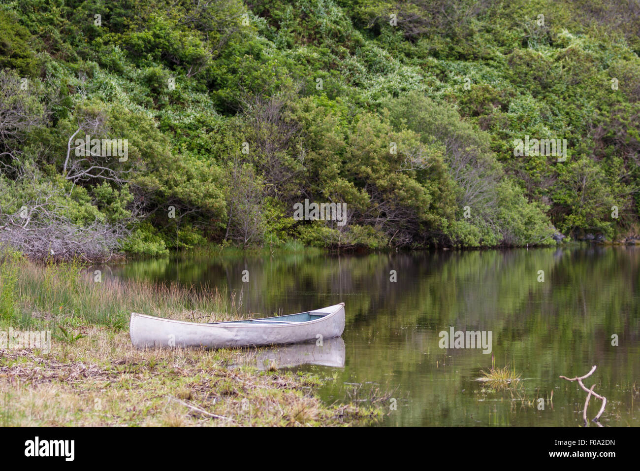 Silver canoe hi-res stock photography and images - Alamy